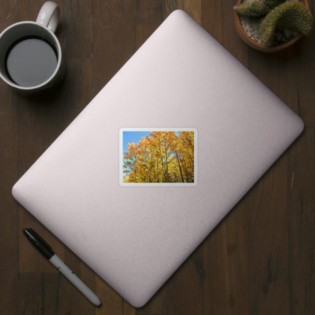 Fall Colors and Aspen Trees in Colorado - Aspen - Sticker | TeePublic