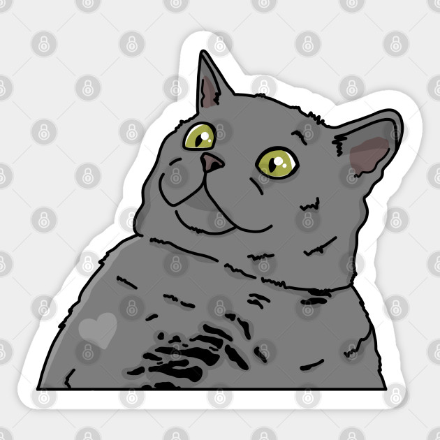 Shocked Cat - Cat - Sticker | TeePublic