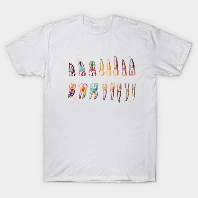 Teeth Diagram - Teeth - T-Shirt | TeePublic