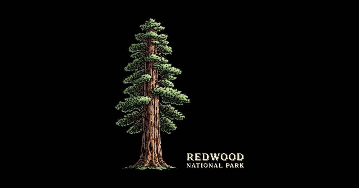 Redwood National Park Tree - Redwood National Park Tree - Sticker ...