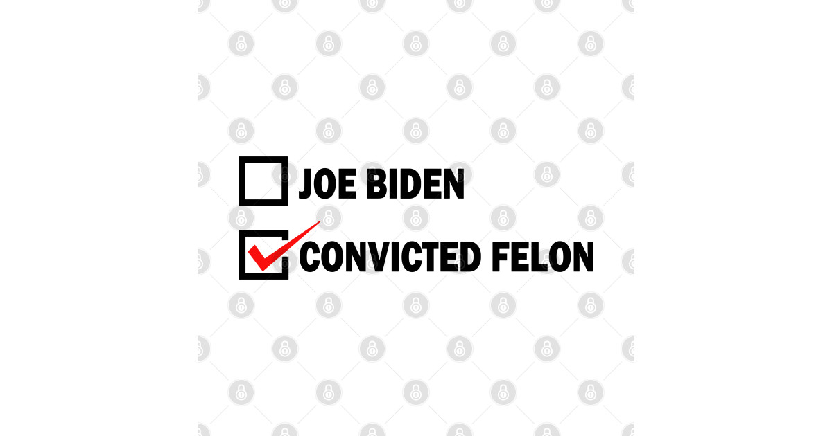 Joe Biden Vs Convicted Felon Funny Ballot Paper Voting Humor - Joe ...