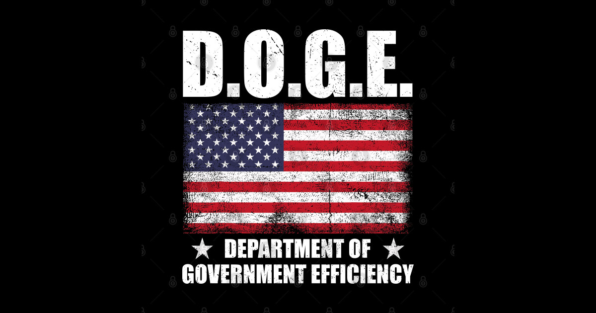 DOGE Department of Government Efficiency D.O.G.E. Government ...