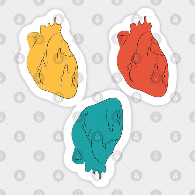 Anatomical Heart Pattern - Anatomically Correct Hear - Sticker | TeePublic