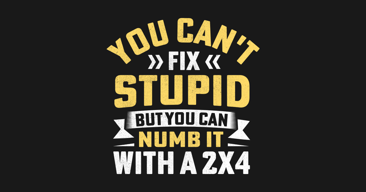 You Can't Fix Stupid But You Can Numb It With A 2x4 - You Cant Fix ...
