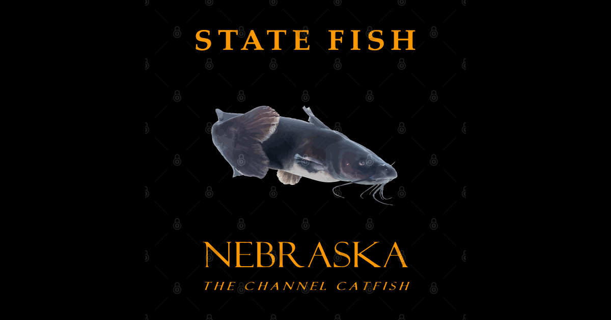 Nebraska Territory Fish The Channel Catfish - Nebraska Usa - Sticker ...