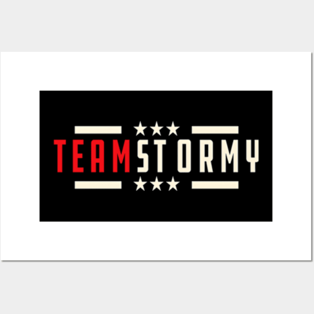 Convicted Felon 2024 Team Stormy Funny - Team Stormy - Posters and Art ...