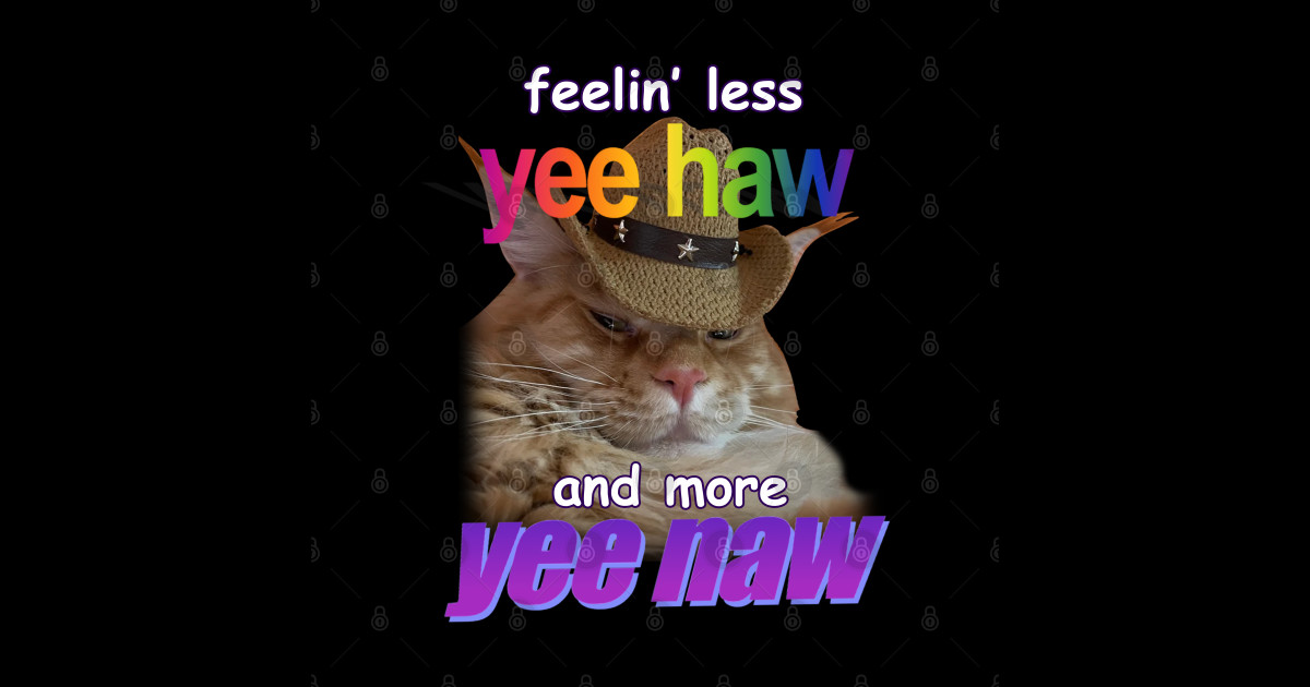 Feelin Less Yee Haw And More Yee Naw Cowboy Cat Meme - Meme - Socks ...