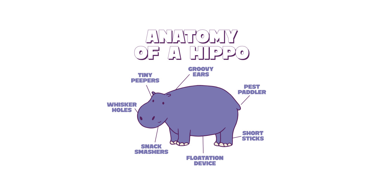 Anatomy Of A Hippo Sweet Hippo Explanation For Zoo Lovers - Anatomy Of ...