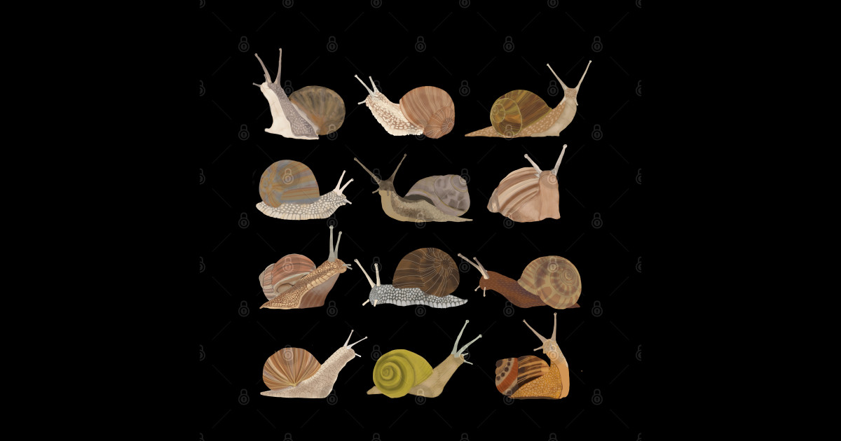 Snails - Snails - Sticker | TeePublic