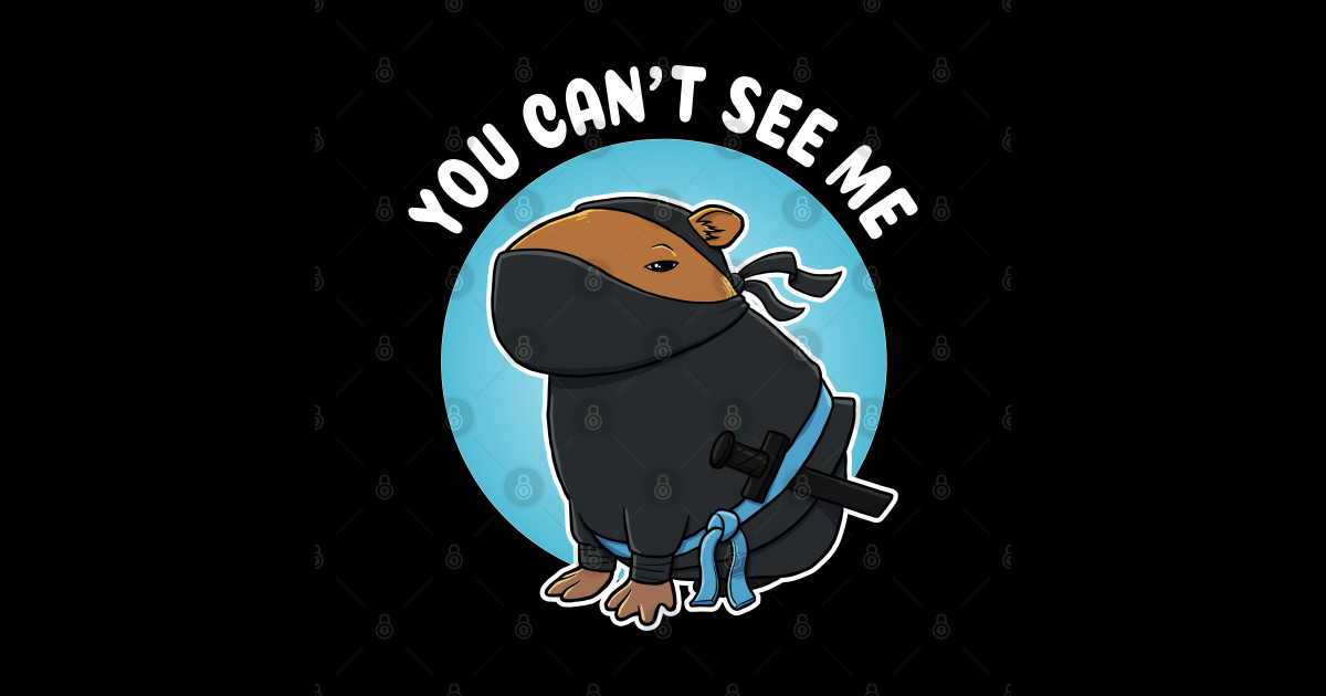 You can't see me Capybara Ninja Costume - Funny Ninja - Sticker | TeePublic