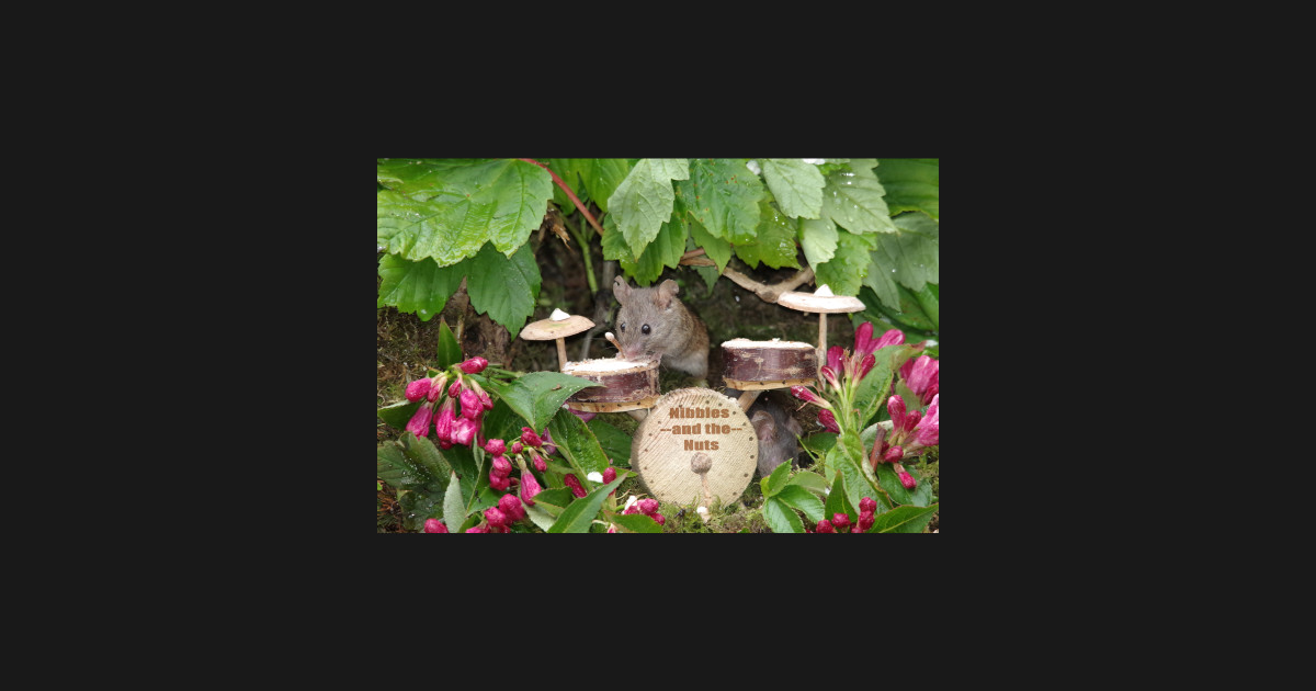 drummer mouse - Drummer - T-Shirt | TeePublic