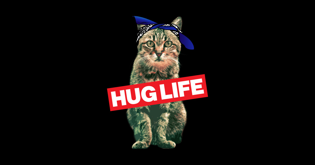 Hug Life Kitty Cat Thug Gangsta' Kitty Cat - Cat - Sticker | TeePublic