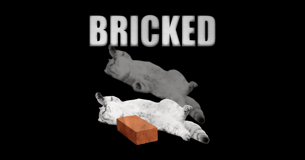 Bricked Funny Cat Knocked Out, Italian Brainrot Cat Meme - Funny Cat ...
