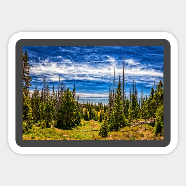 Cedar Breaks National Monument - Tree - Sticker | TeePublic