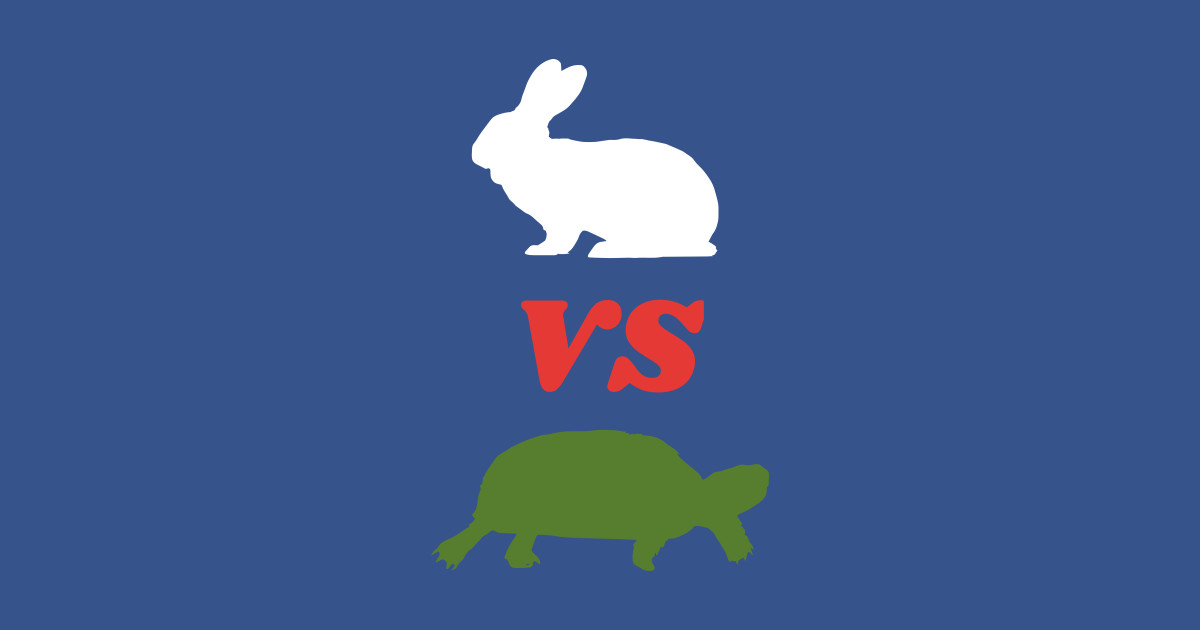 Rabbit VS Turtle Design - Race - Hoodie | TeePublic