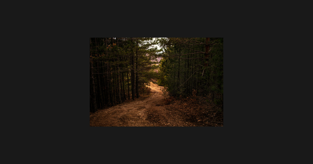 The path - Forest - T-Shirt | TeePublic