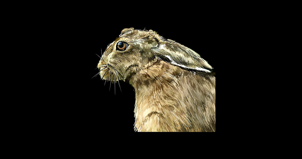 Before Coffee - Hare Digital Drawing - Hare - Posters and Art Prints ...