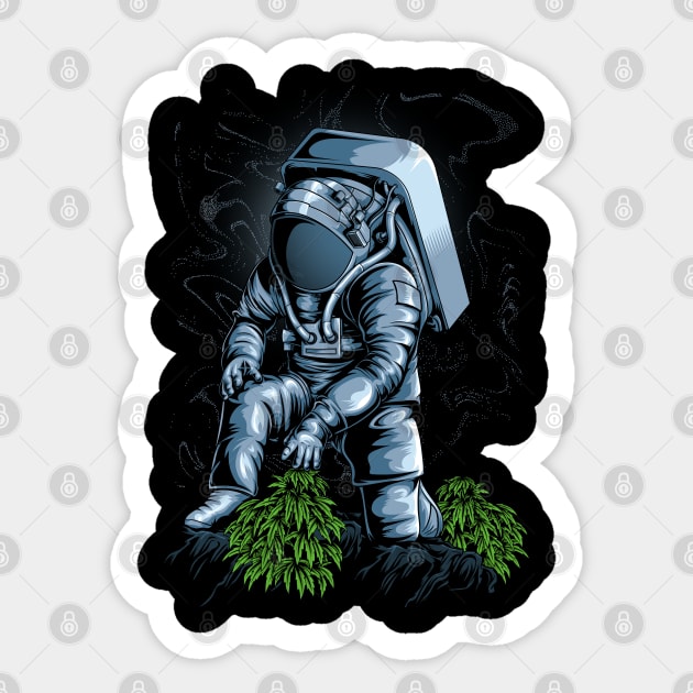 astronout weed