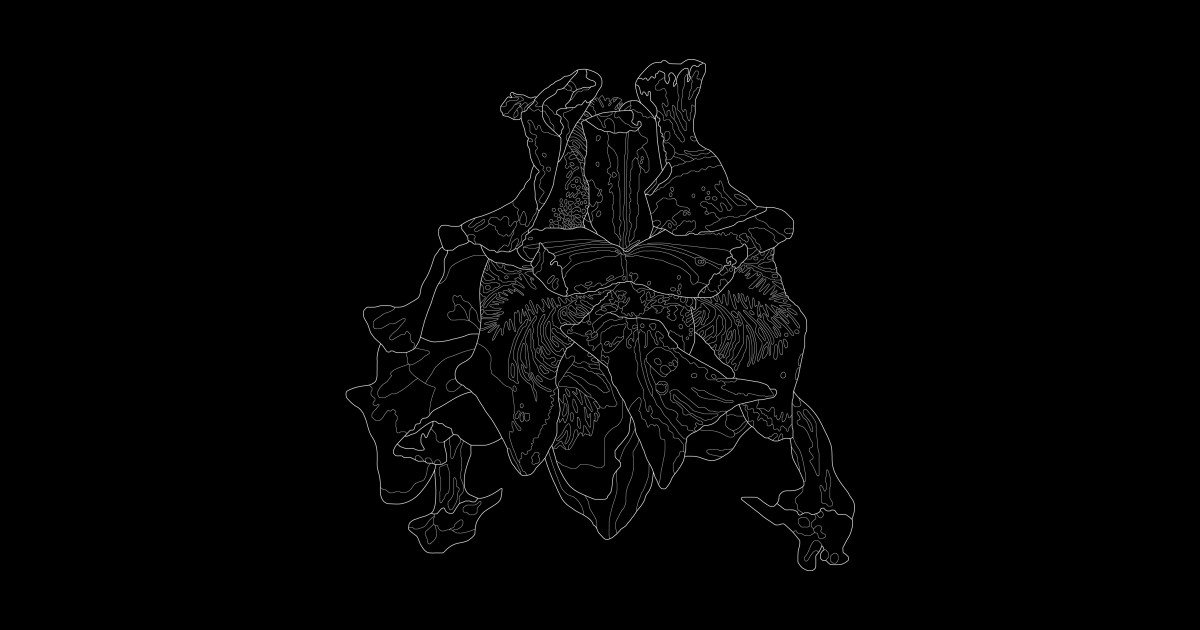 Flower 1 (white outline) - Flowers - Sticker | TeePublic