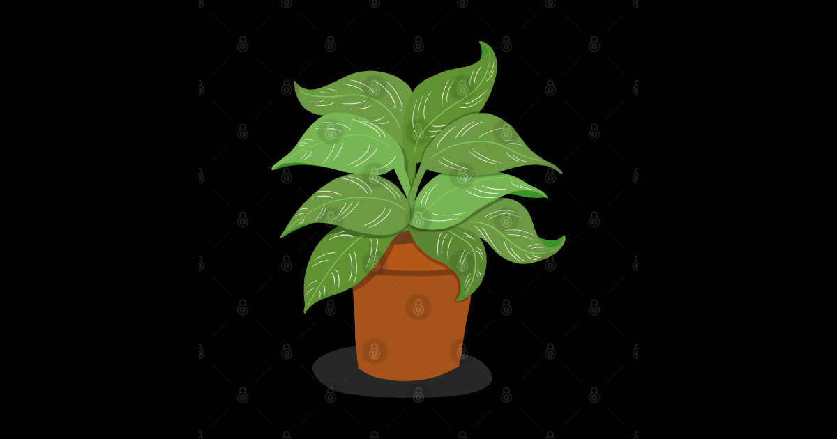 Leafy Plant - Plants - Posters and Art Prints | TeePublic