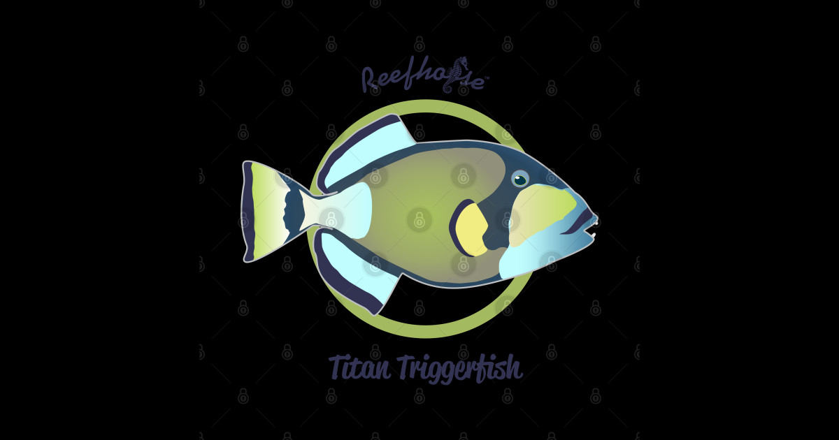 Titan Triggerfish - Reefhorse - Sticker | TeePublic