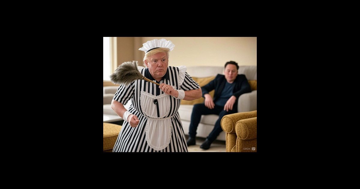Donald Trump is Elon Musk's Maid meme - Donald Trump - Sticker | TeePublic