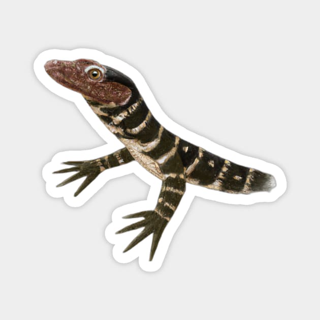 Cute Monitor Lizard Drawing - Cute Monitor Lizard - Magnet | TeePublic
