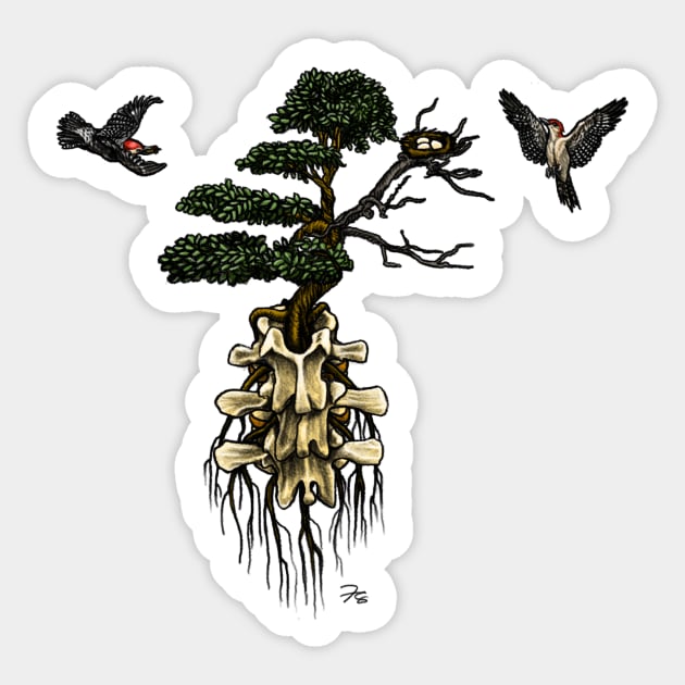 Woodpeckers and back pain - Anatomical - Sticker | TeePublic