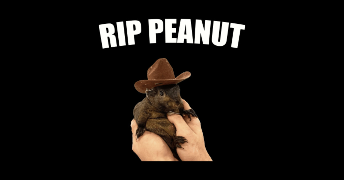 RIP Peanut the Squirrel peanut funny - Rip Peanut The Squirrel Peanut ...