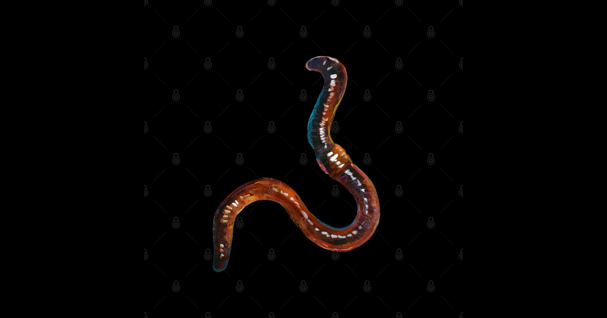 Creepy Cute Earthworm Sticker - Creepy - Sticker | TeePublic