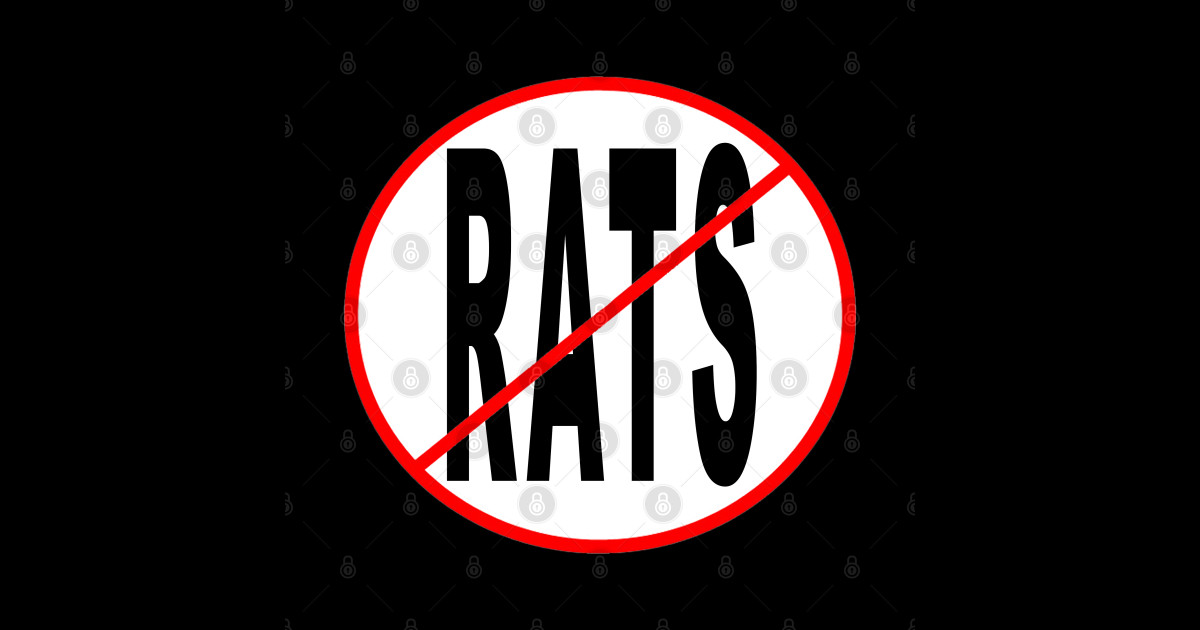 No Rats - No Rats - Sticker | TeePublic