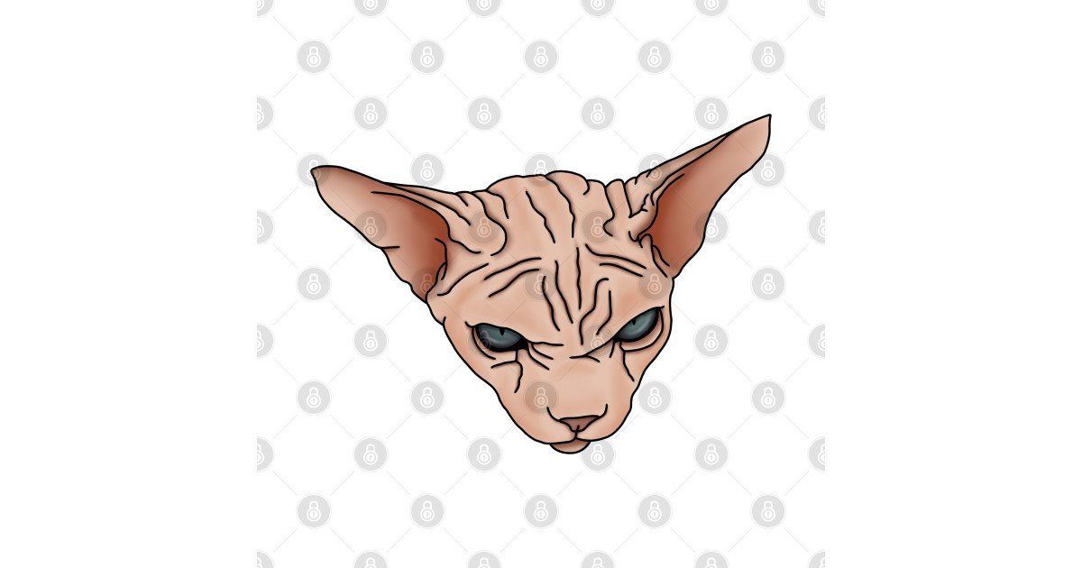 Angry Sphynx Cat - Sphynx Cat - T-Shirt | TeePublic
