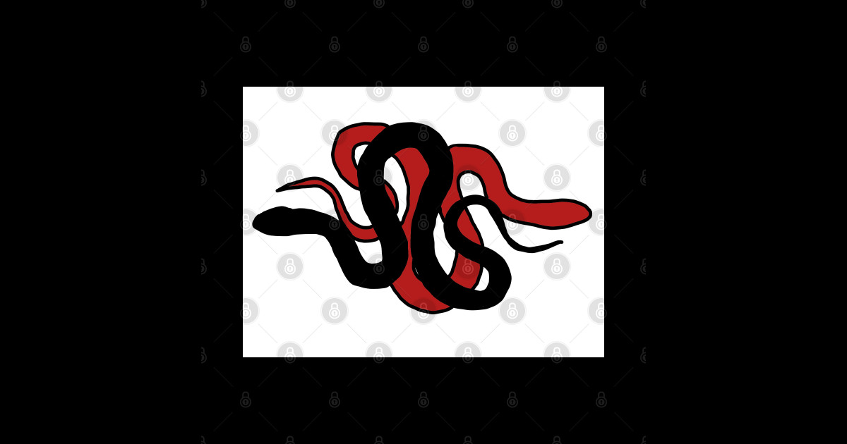 Red and black snakes (horizontal) - Snake Black Red Blackandred Animal ...