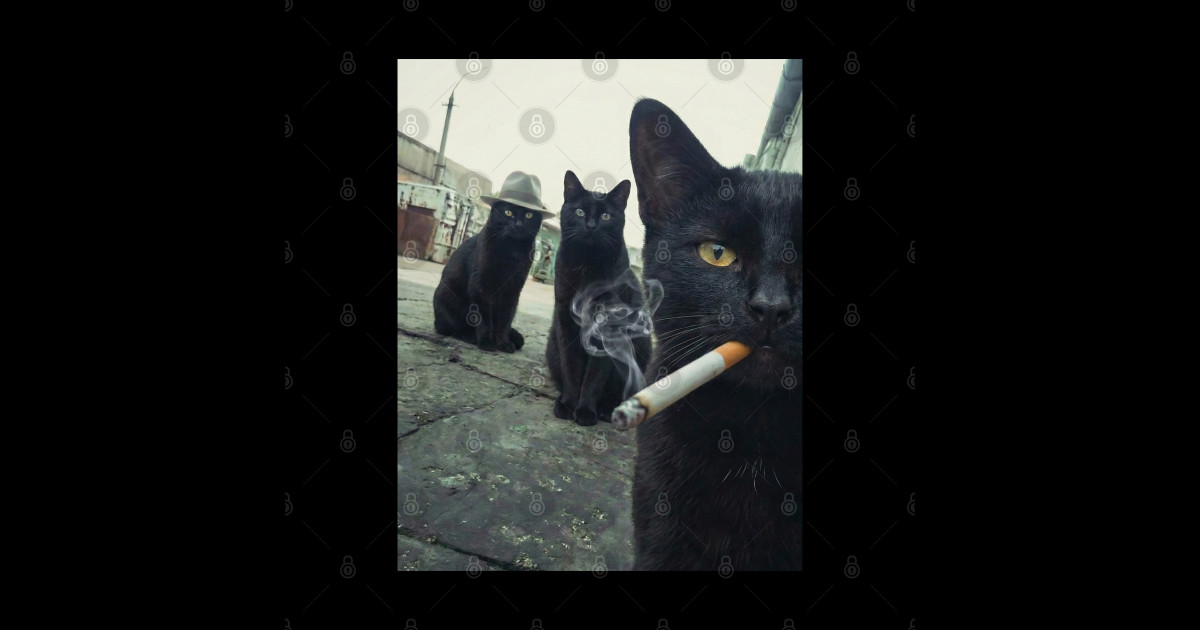 Black Cat Smoking Funny Gangster Black Cats - Smoking Black Cat ...