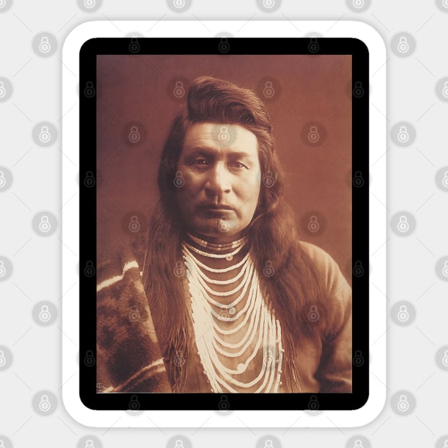 Indigenous People Chief Joseph Nez Perce Native American Indian History ...