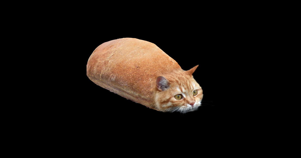 Cat Loaf Kitty Kitten Bread Breadloaf Cats Funny - Cat Loaf Kitty ...