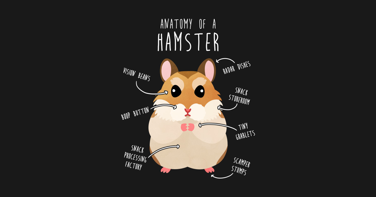 Roborovski Dwarf Hamster Anatomy - Hamster - T-Shirt | TeePublic