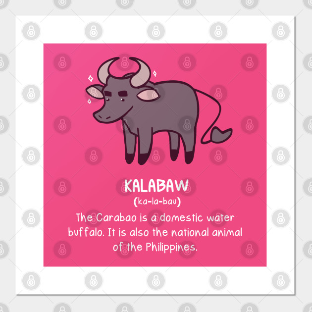 BnW: Kalabaw - Carabao - Posters and Art Prints | TeePublic