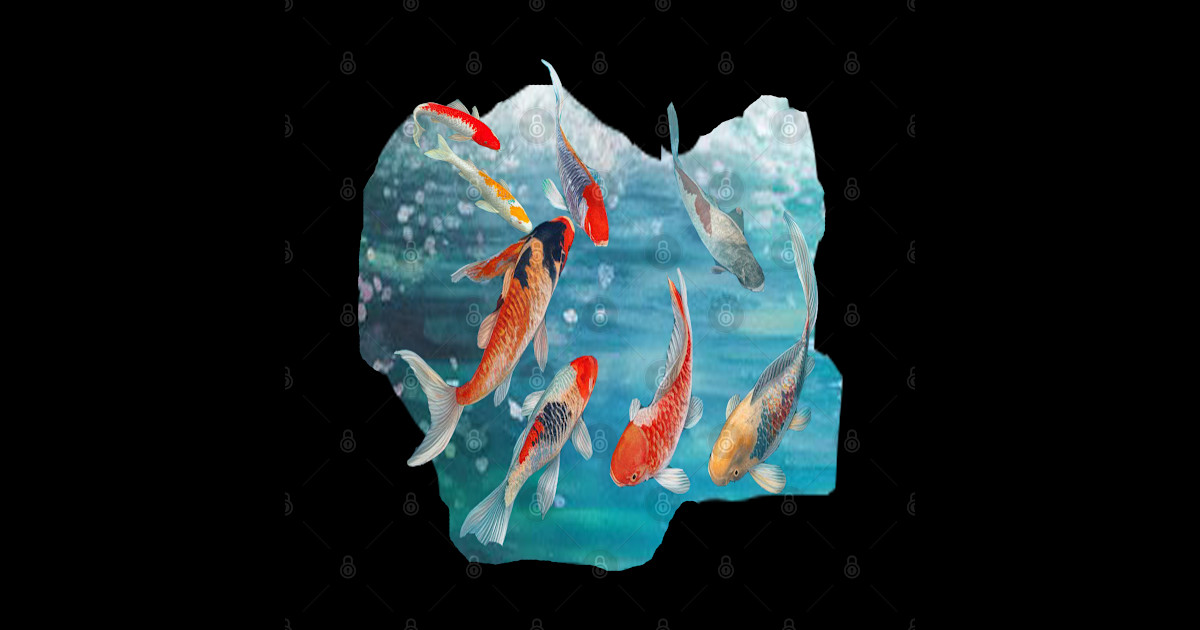 Japanese Koi Fish, Japanese, Japanese Koi - Japanese Koi - Sticker ...