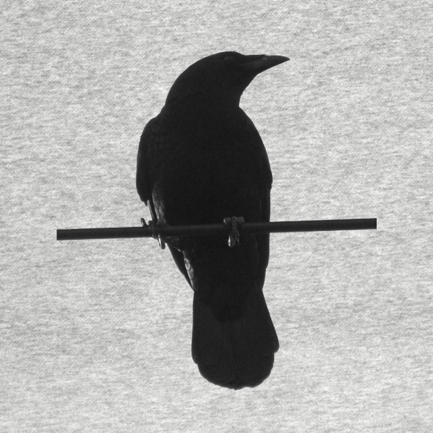 crow on a wire - Crow - T-Shirt | TeePublic