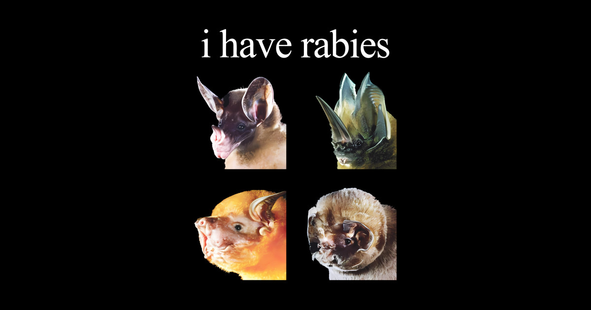 I Have Rabies Bat Funny Sarcasm Unhinged Meme - I Have Rabies Bat Funny ...