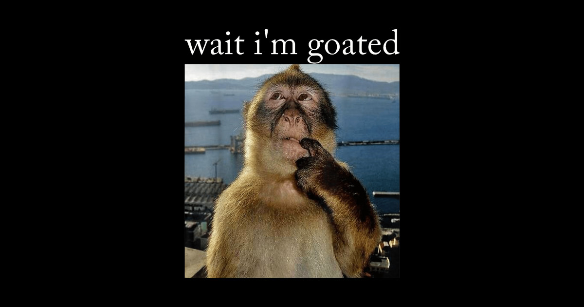 Wait I'M Goated Funny Thinking Monkey Meme Brainrot - Meme Brainrot ...