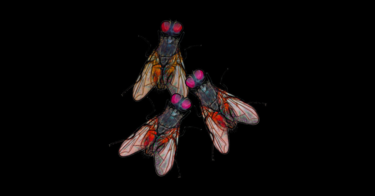 Angry Flies - Fly - Sticker | TeePublic