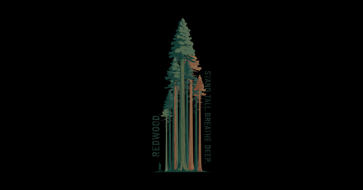 Redwood National Park. Stand Tall. Breathe Deep. - Giant Trees ...