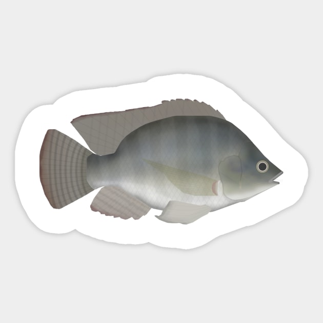 Nile Tilapia - Nile Tilapia - Sticker | TeePublic