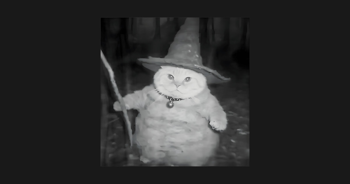 Weird Wizard Cat Spooky - Weird Wizard Cat - T-Shirt | TeePublic