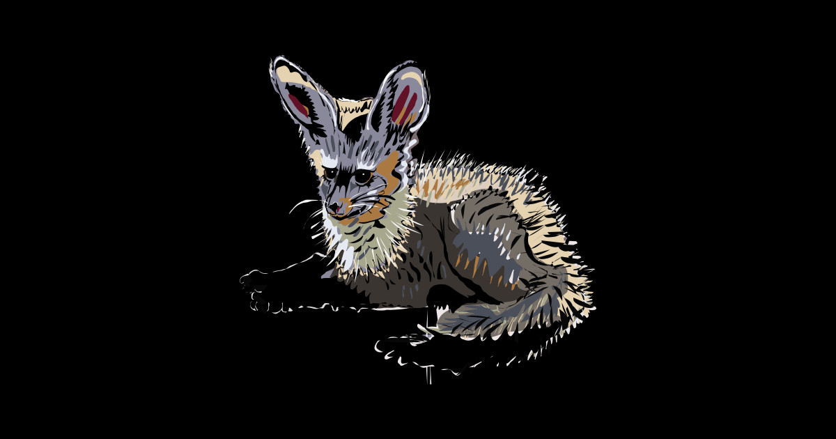 Bat-eared Fox - Bat Eared Fox - Sticker | TeePublic