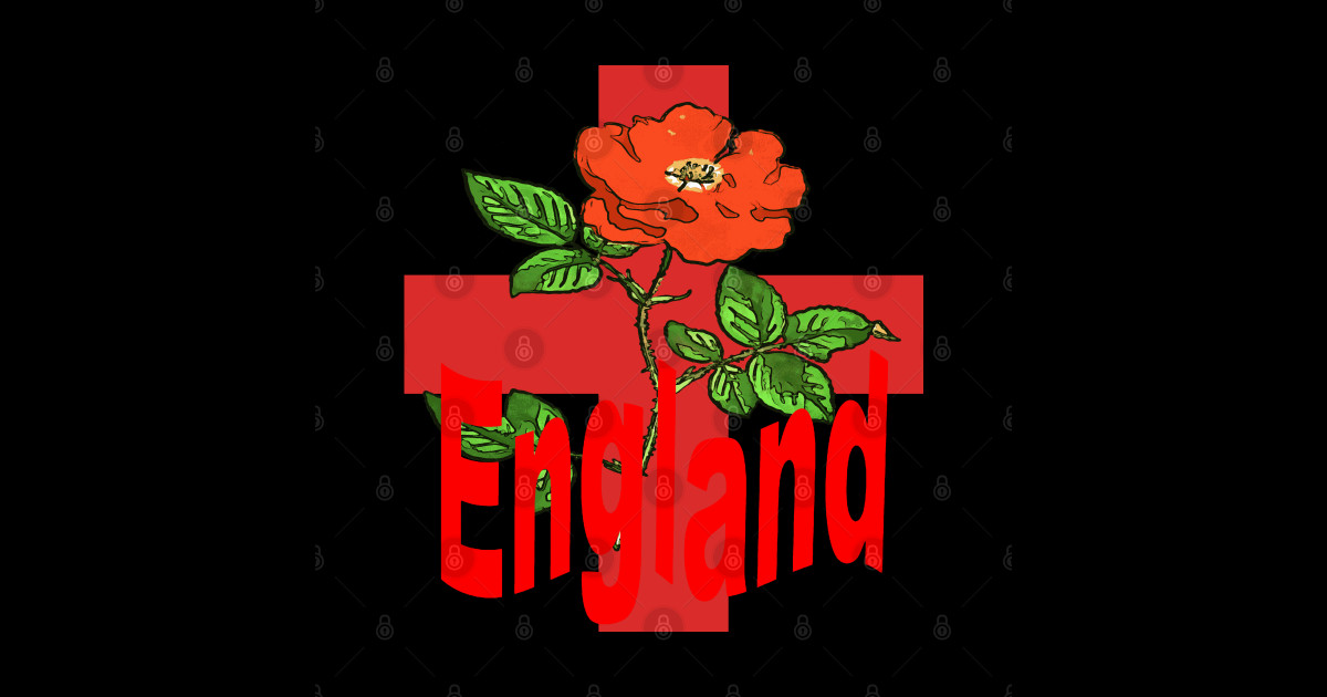 St George Cross With English Rose For England Fans - Britain Uk ...