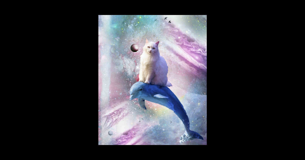 Space Cat Riding Dolphin - Space Cat Riding Dolphin - Sticker | TeePublic