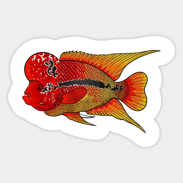 Flowerhorn cichlid fish cartoon illustration - Flowerhorn Cichlid Fish ...